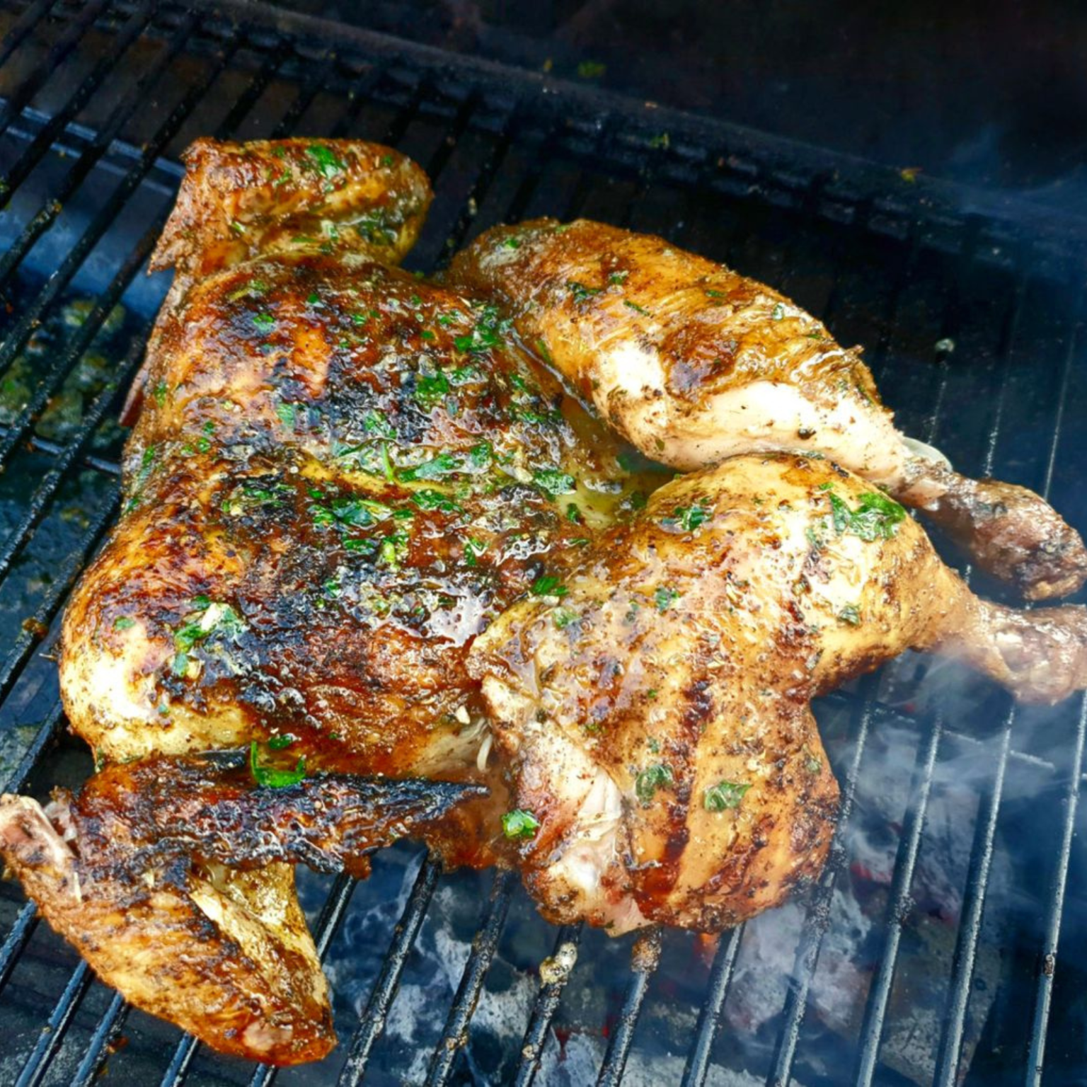 Chicken | Grilled or Fried – La Braise African Grill